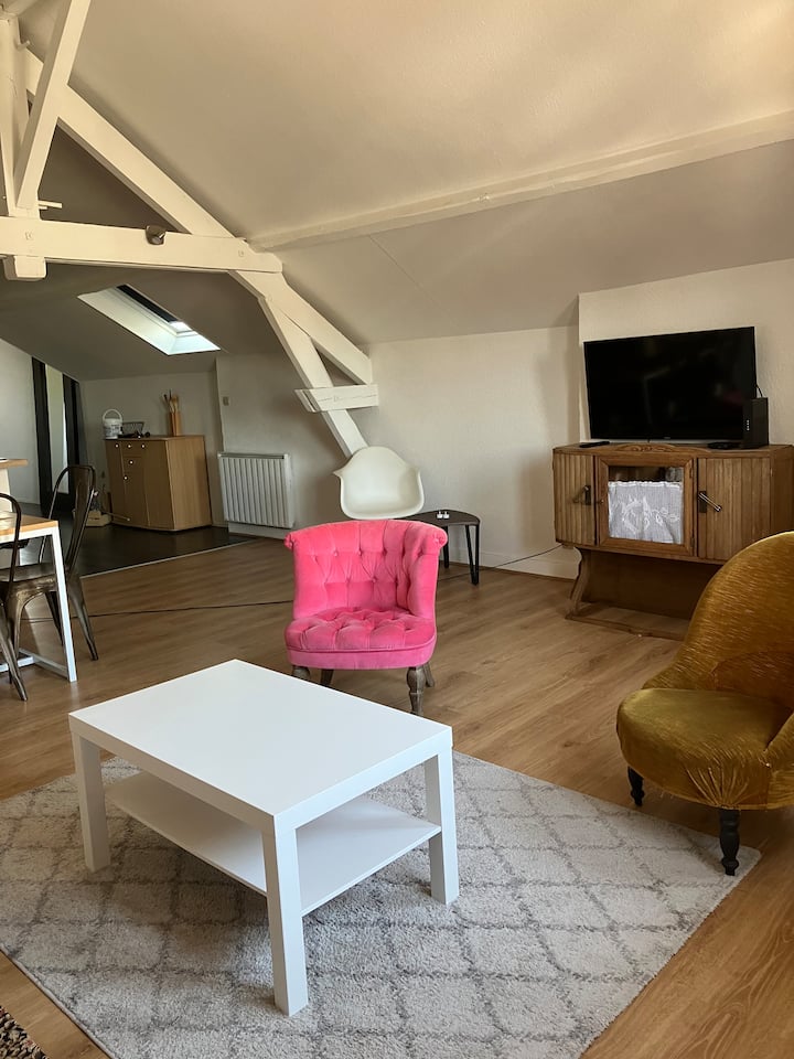 Appartement Vue Sur La Cathédrale - Poitiers