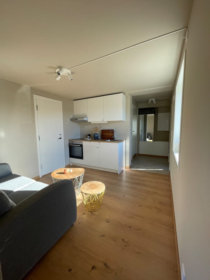 Hybel Til Leie. - Furnes