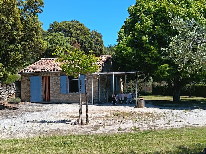 Cabanon En Pierre Avec Vue Sur Le Mont Ventoux - Bédoin