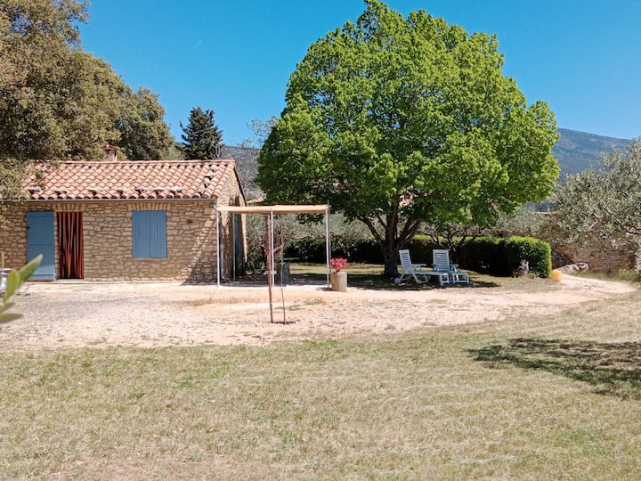 Cabanon En Pierre Avec Vue Sur Le Mont Ventoux - Bédoin