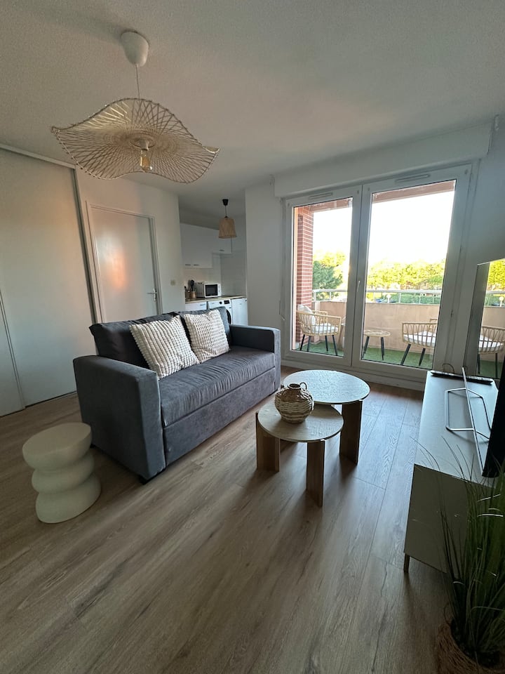 Appartement Cosy Meublé En Résidence, Wifi Piscine - Tournefeuille