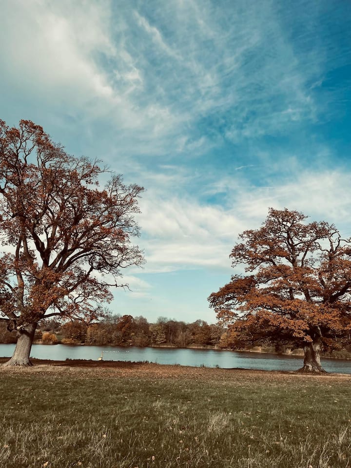 Cosy 1 Bedroom Flat Within Corsham With Courtyard - Chippenham