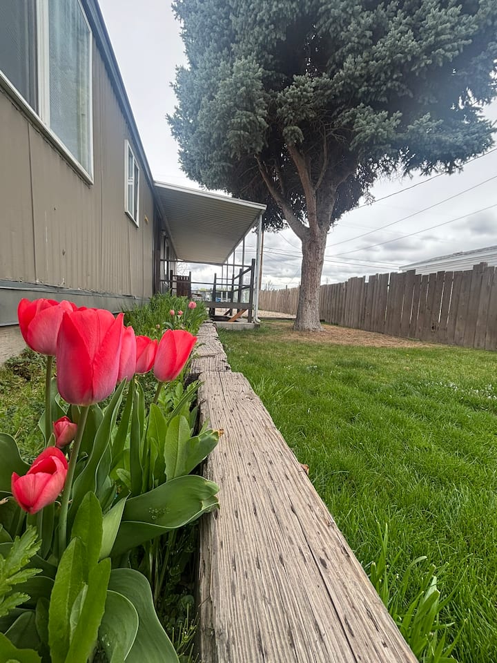 10167 Maymie Rd Boise Idaho 83714
3 Bed 2 Fullbath - Boise, ID