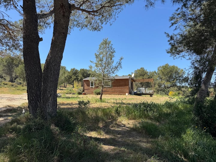 Logement Insolite à La Ferme - La Fare-les-Oliviers