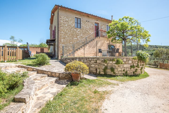 Podere Del Pereto Bio- 203 - Rapolano Terme