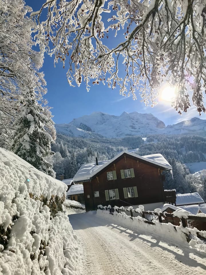 Something Special !  Chalet Des Alpes, Wengen - Wengen, Switzerland