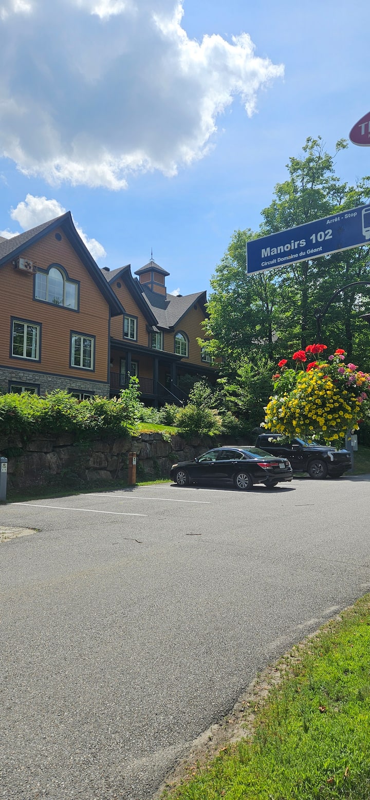 Condo Manoir  Rustik
 Tremblant 
 Citq 240660 - Mont-Tremblant