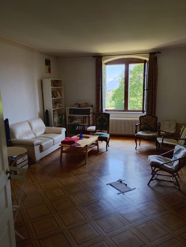 Château Entre Lac Léman Jura Vue Alpes Et Mt-blanc - Morges