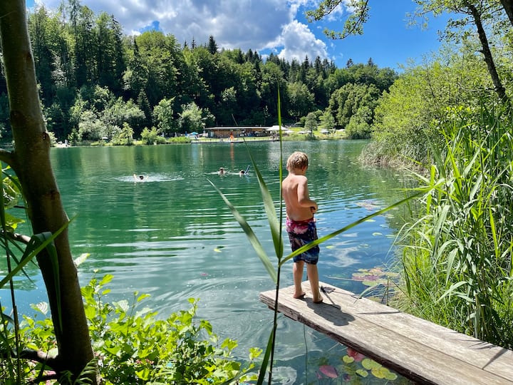 Aichwaldsee 3 Mit Privaten Seezugang Und Strand - Wörthersee