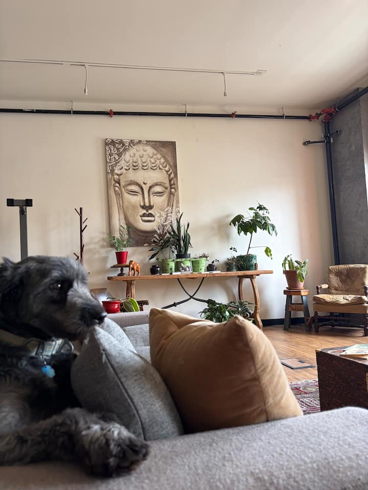 Gorgeous Vintage Apartment In Heart Of Downtown - Salt Lake City, UT