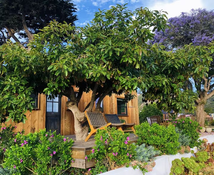 Flora Farm Cottage | Hot Tub, Creek & Fresh Eggs - Arroyo Grande, CA
