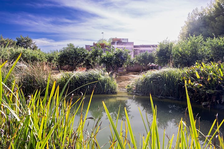 Agrumeta - Villa Gaudei - Wifi, Biolago E Minispa. - Lecce