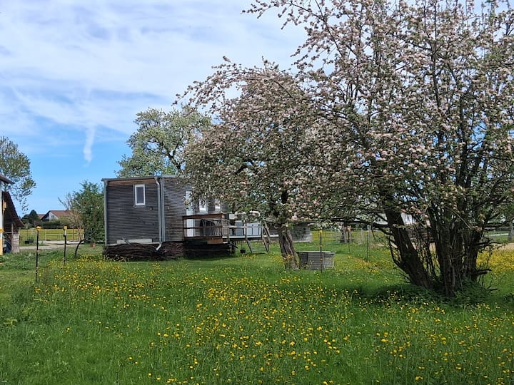Tinyhaus Lara - Bad Waldsee