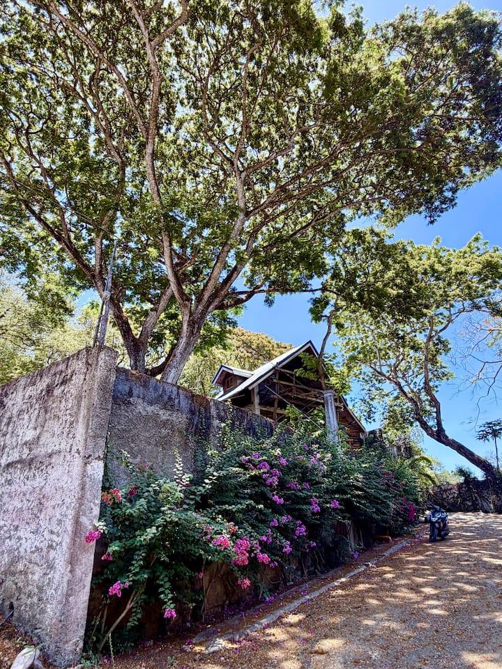 Balai Amihan Treehouse - Puerto Princesa