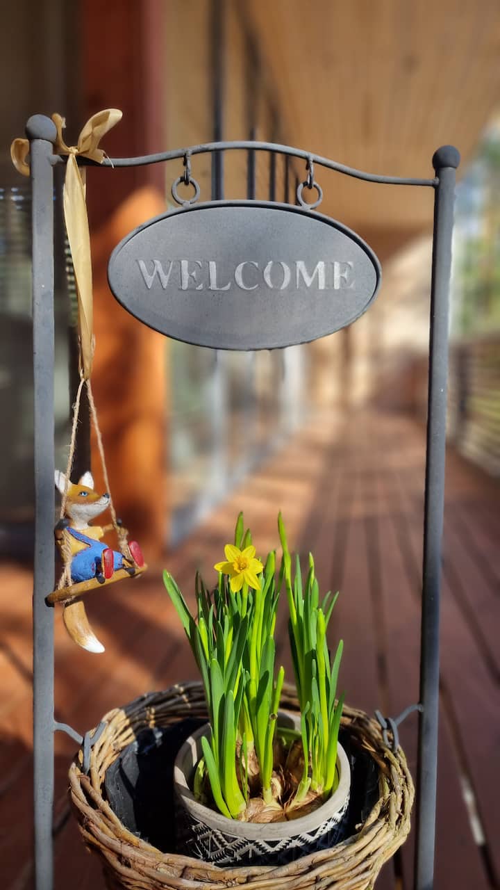 Pikku Kettu - Puumala