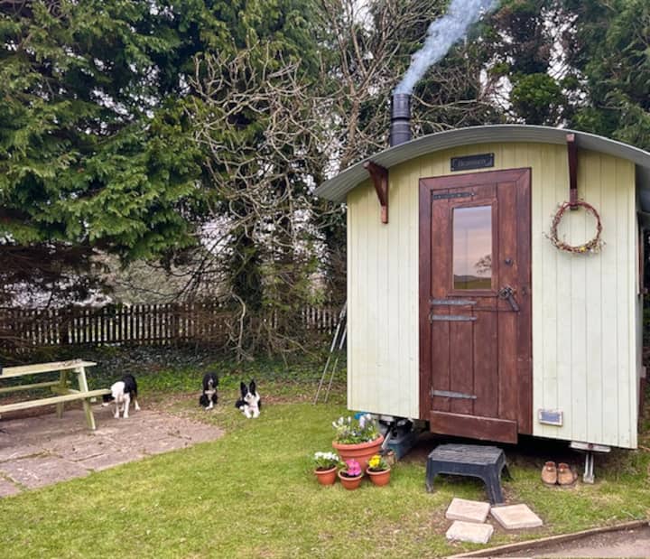 Little Green Shepherd's Hut - Bala