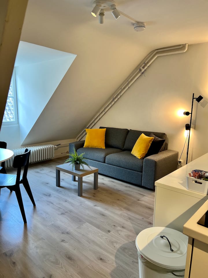 Just Renovated 2 Bedroom Apartment In City Center - Maastricht