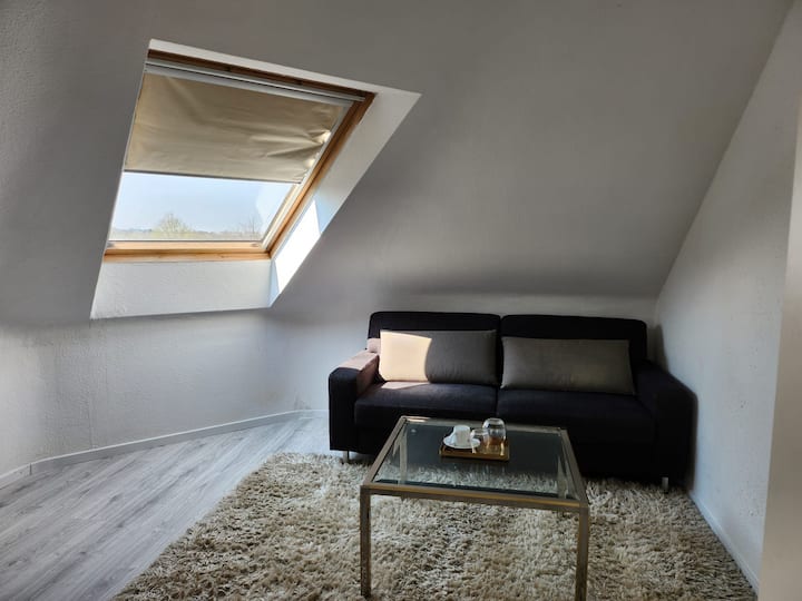 Komfortables Zimmer Mit Eigenem Badezimmer - Weingarten (Baden)