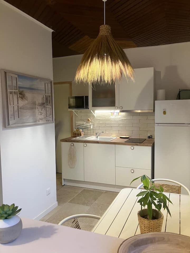 La Payotte: Votre Cocon à L'océan En Plein Centre - Messanges