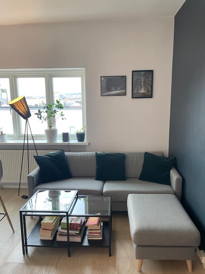 Lovely 1‑bed Apartment - Balcony With A View - Oslo