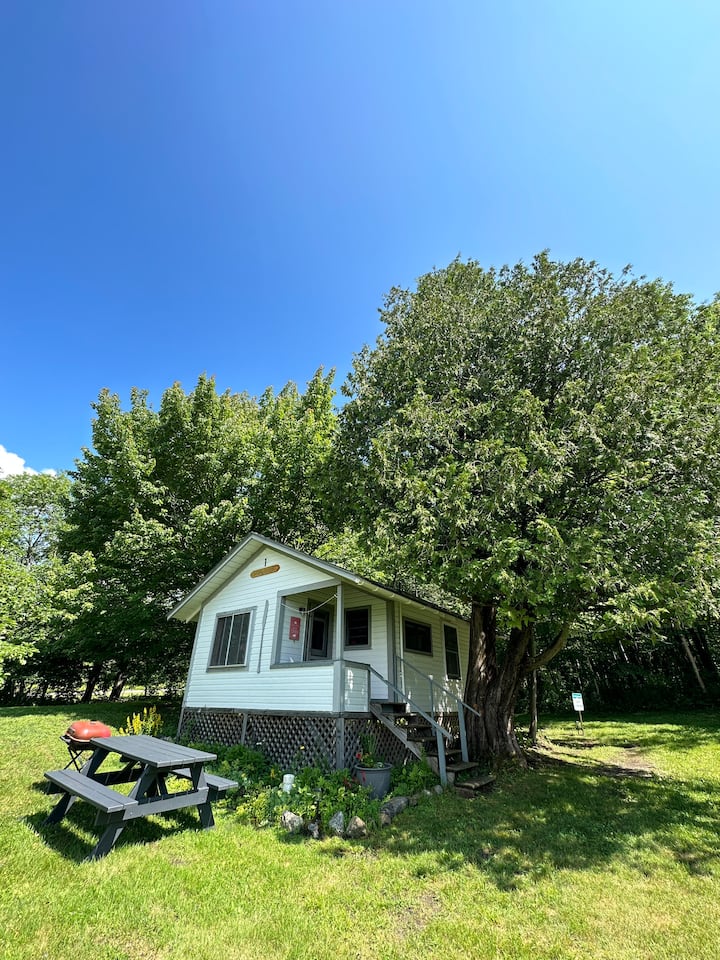 Willoughby Lakeview Cabin - Green Acres Cabins #1 - Willoughby State Forest, Sutton