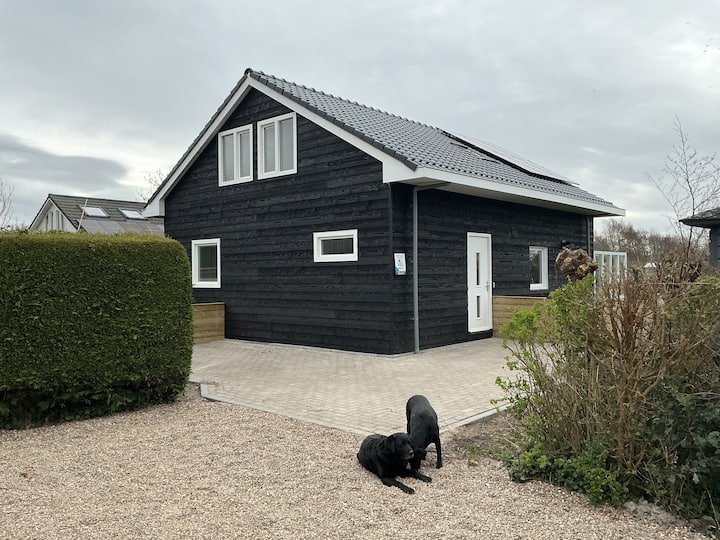 Ferienwohnung Amalia - Julianadorp