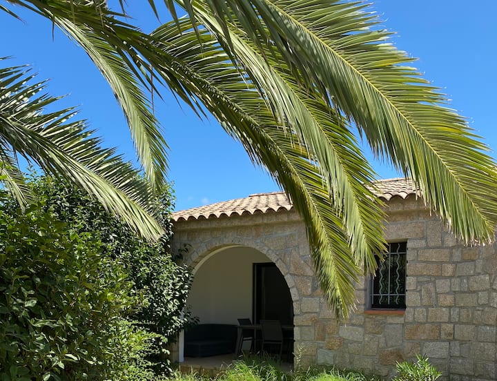 Villa Laurier Torriciola Location - Propriano