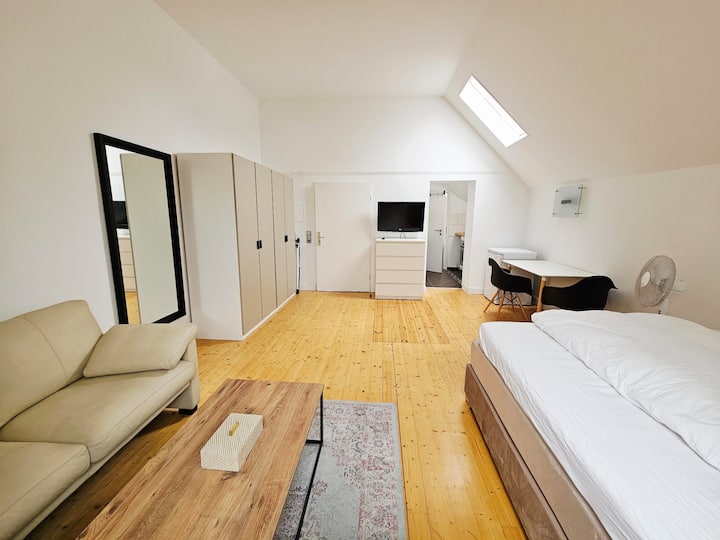 Generously Sized Studio Apt Next To Kurpark - Wiesbaden