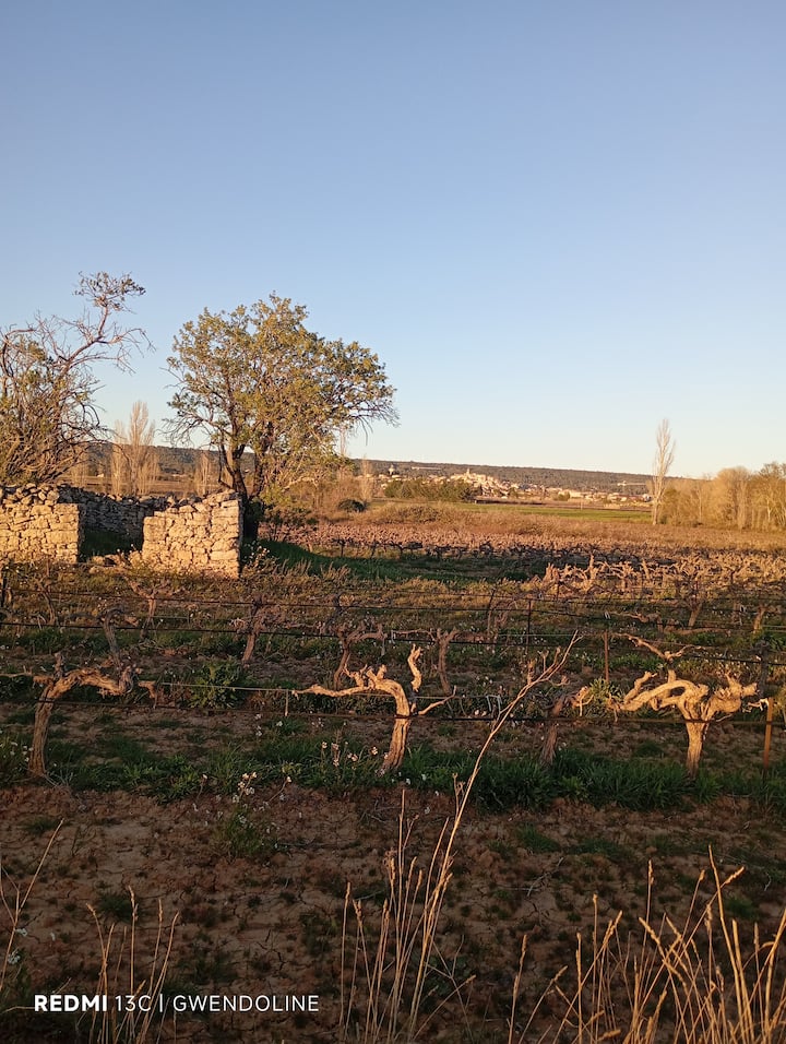 Maison Cœur De Village Provençal Avec Terrasse - Trets