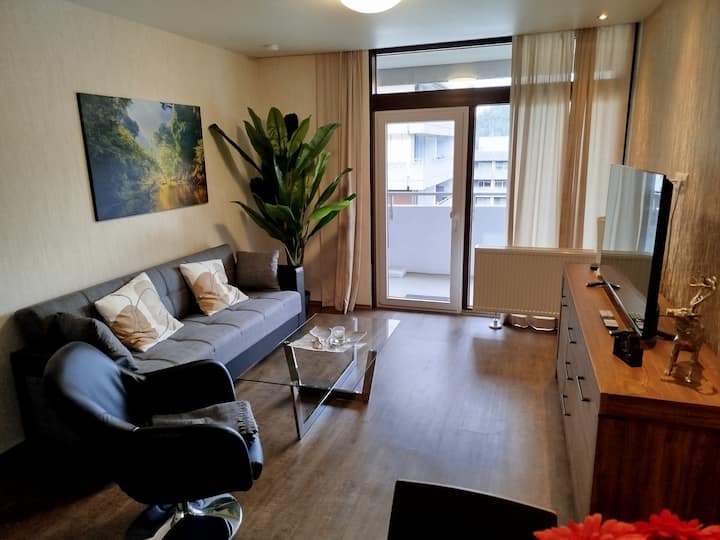Ferienwohnung Harz Valley Balkon, Schwimmbad - Ilsenburg (Harz)