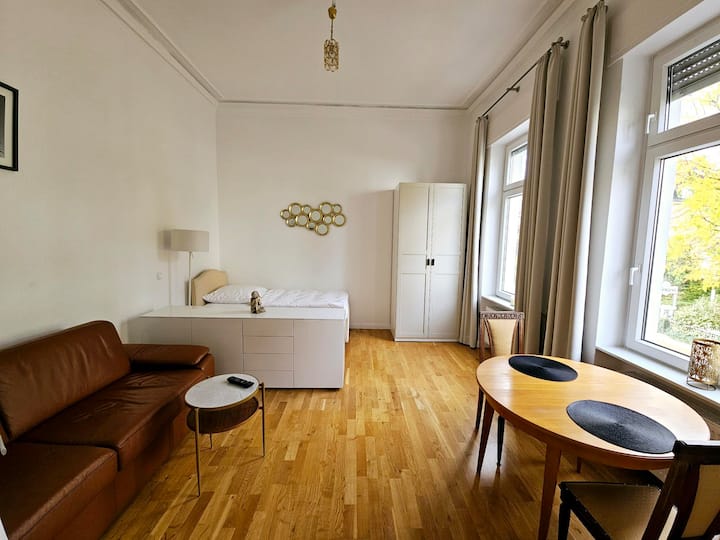 Newly Renovated Fully Furnished 1 Br Next Kurpark - Wiesbaden