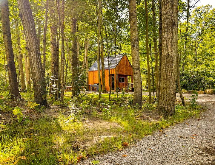 Coming May 2026! Bunkhouse Cabin - Delhi, ON, Canada