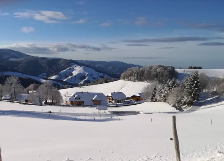 Hansemichelhof Auf Dem Schauinsland - Oberried