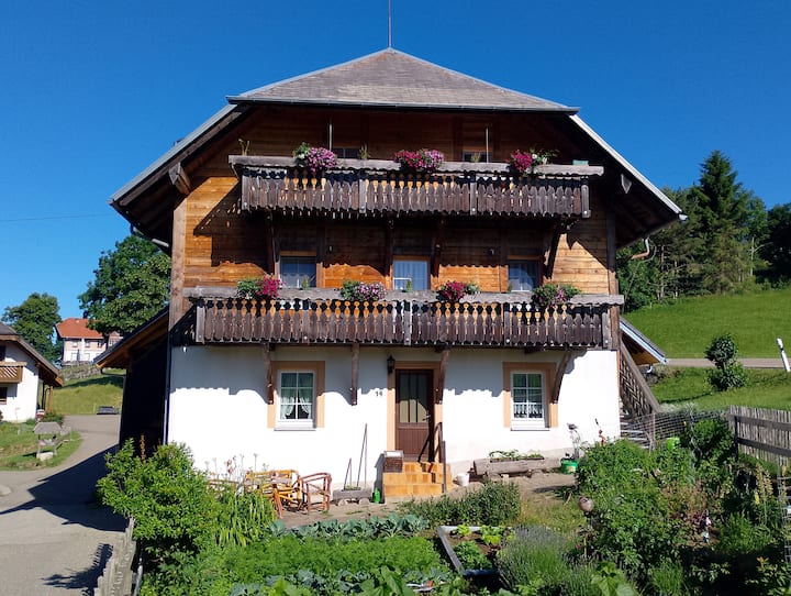 Hansemichelhof Auf Dem Schauinsland - Freiburg im Breisgau