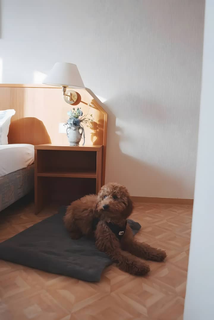 Zimmer 1 - Norderney