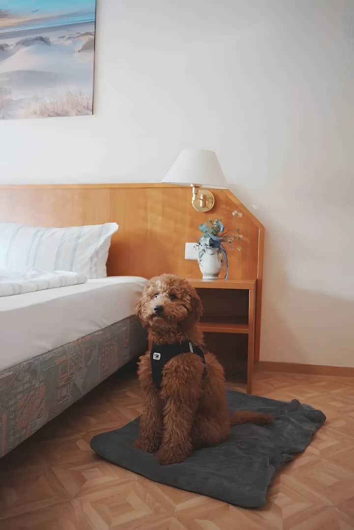 Zimmer 2 - Norderney