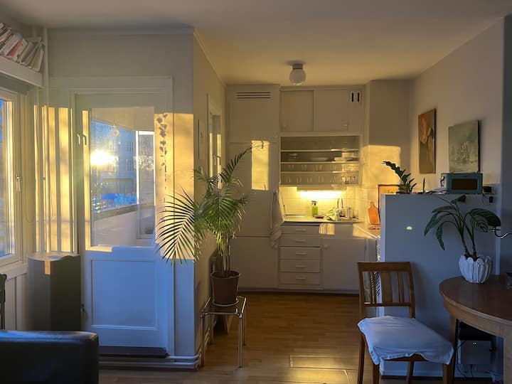 Enerhauggata 1 - Oslo