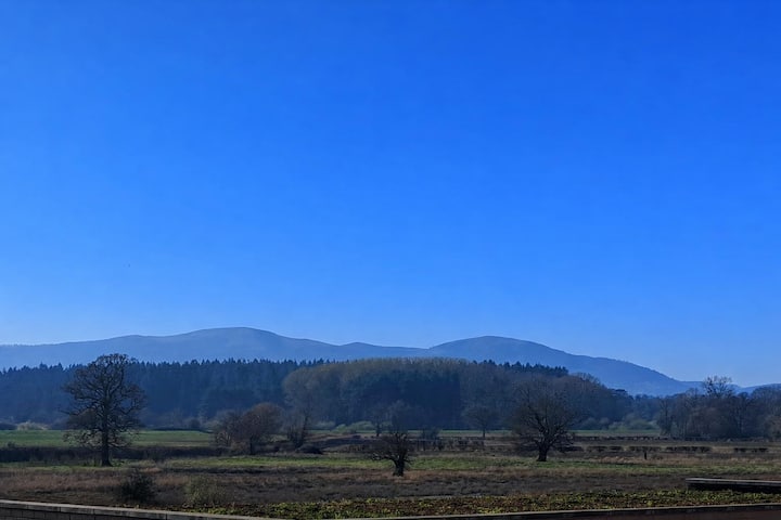 Cedar Lodge | Luxury Holiday Home In Severn Stoke - Malvern