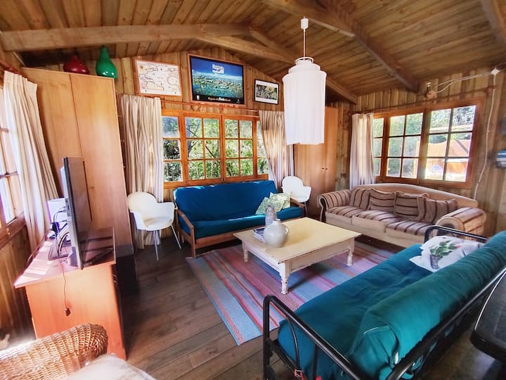 Acogedora Casa En El Bosque - Santo Domingo, Chile