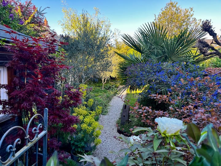 Maison Quartier Dunois à Orléans - Orléans