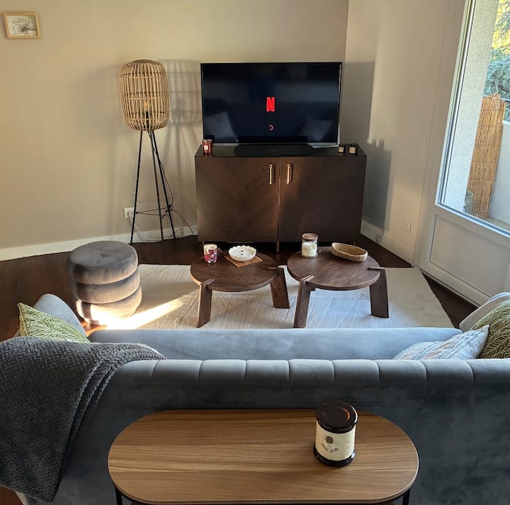 (Parenthèse Amboisienne) Appartement Lumineux - Amboise