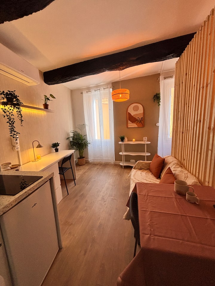 Studio Cocon + Cinéma + Panier Repas Inclus - Solliès-Pont