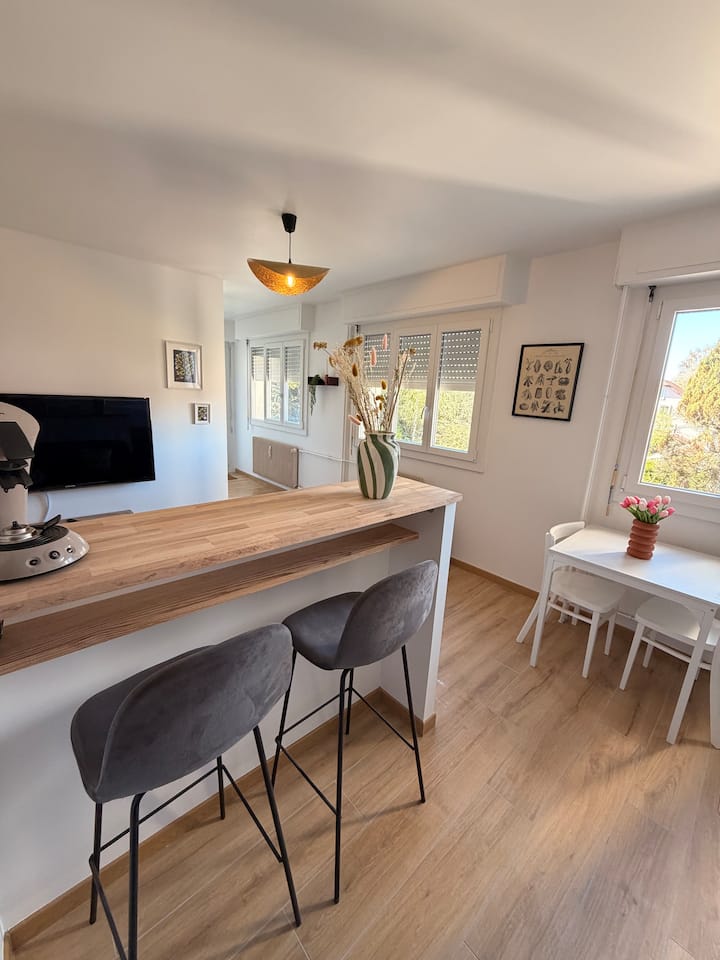 Le Meublé Des Thermes - Luxeuil-les-Bains