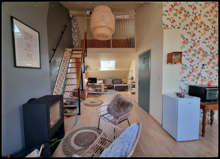 Lamarche33, Logement Chiens Admis Au Cœur De Liège - Liège