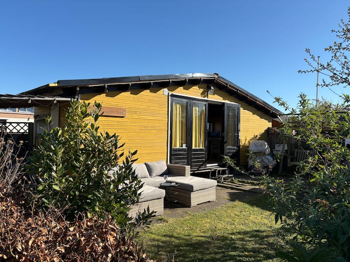 De Zonnebloem - Hook of Holland