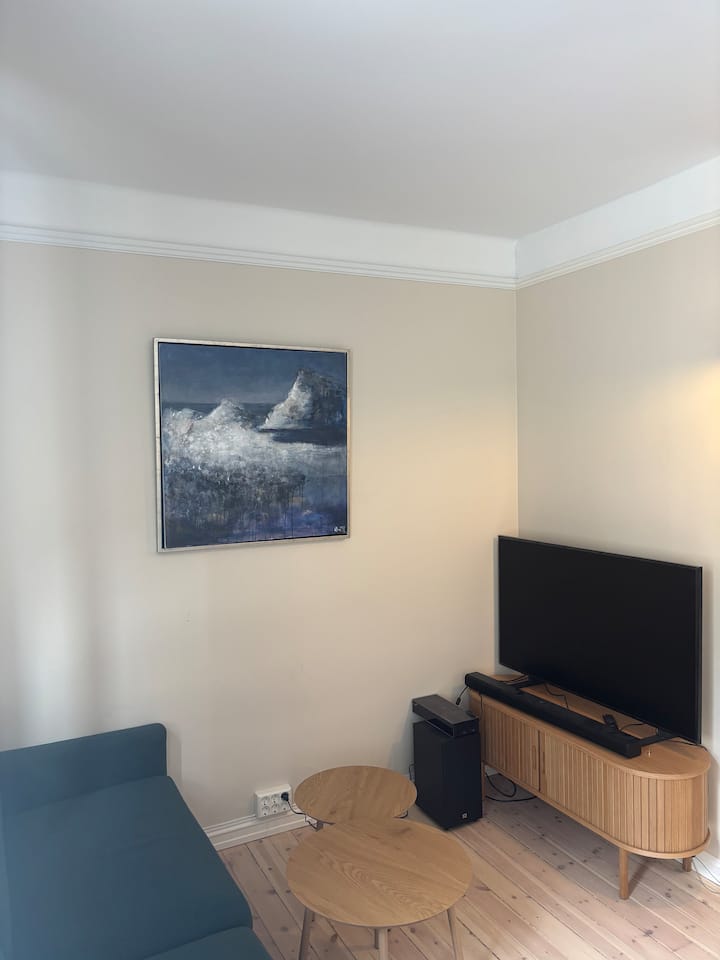 Bright 58m² Flat, 2 Beds, Fireplace, Backyard - Oslo