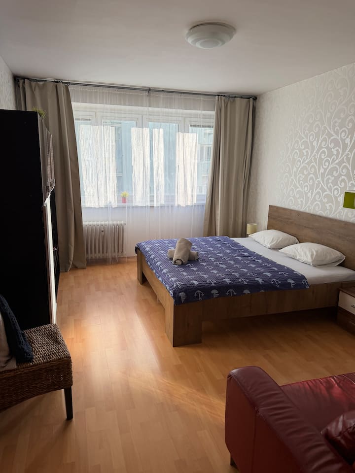 Apartment Under ŠPilberk Castle - Brno