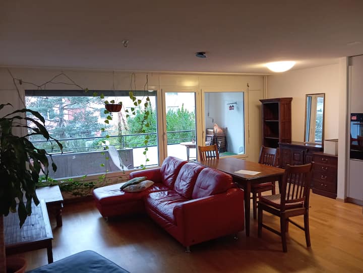 Furnished Flat, Calm Area, Well Connected - Zürich