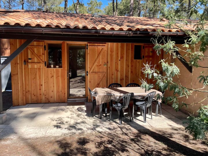 Le Lodge Des Pins - Entre Lac Et Océan - Lacanau Océan