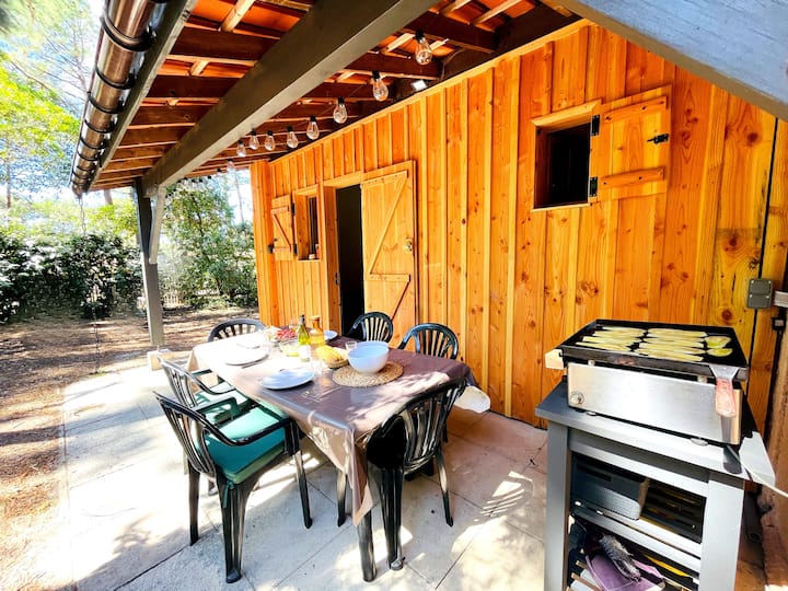 Maison Rénovée Grand Jardin Sous Les Pins Lacanau - Lacanau